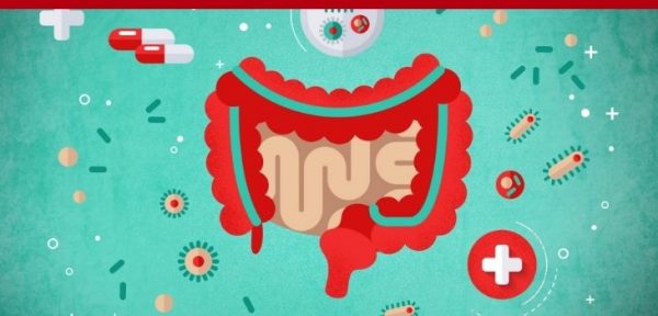 491: Functional Medicine, Probiotics and Gut Health with Dr. Michael ...